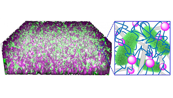 Biohybrid organic battery combines nanocomposite and bacteria ...