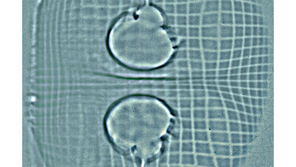 Plasma collision magnetic field response mapped | Laboratory News