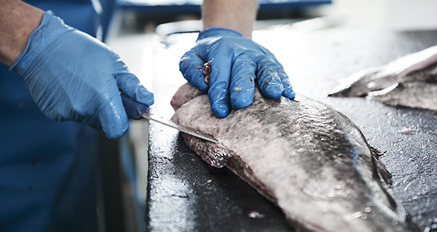 New dipping solution turns the whole fish into valuable food ...