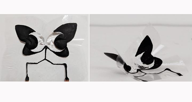 New shape-changing materials brings soft robotics to life | Laboratory News