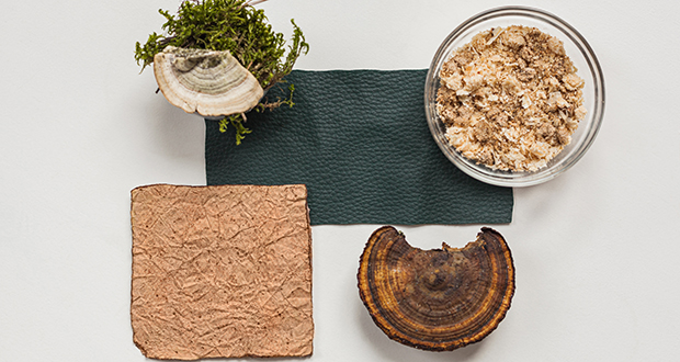 Sustainable concept for wood-based textile fibres | Laboratory News