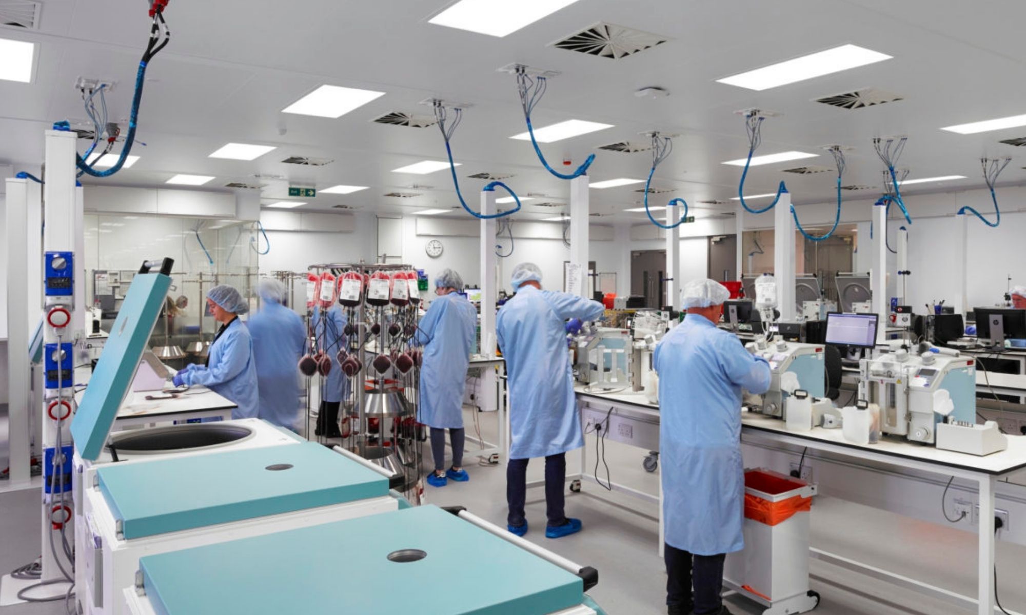 Creating a Successful Lab Buildout Plan | Laboratory News