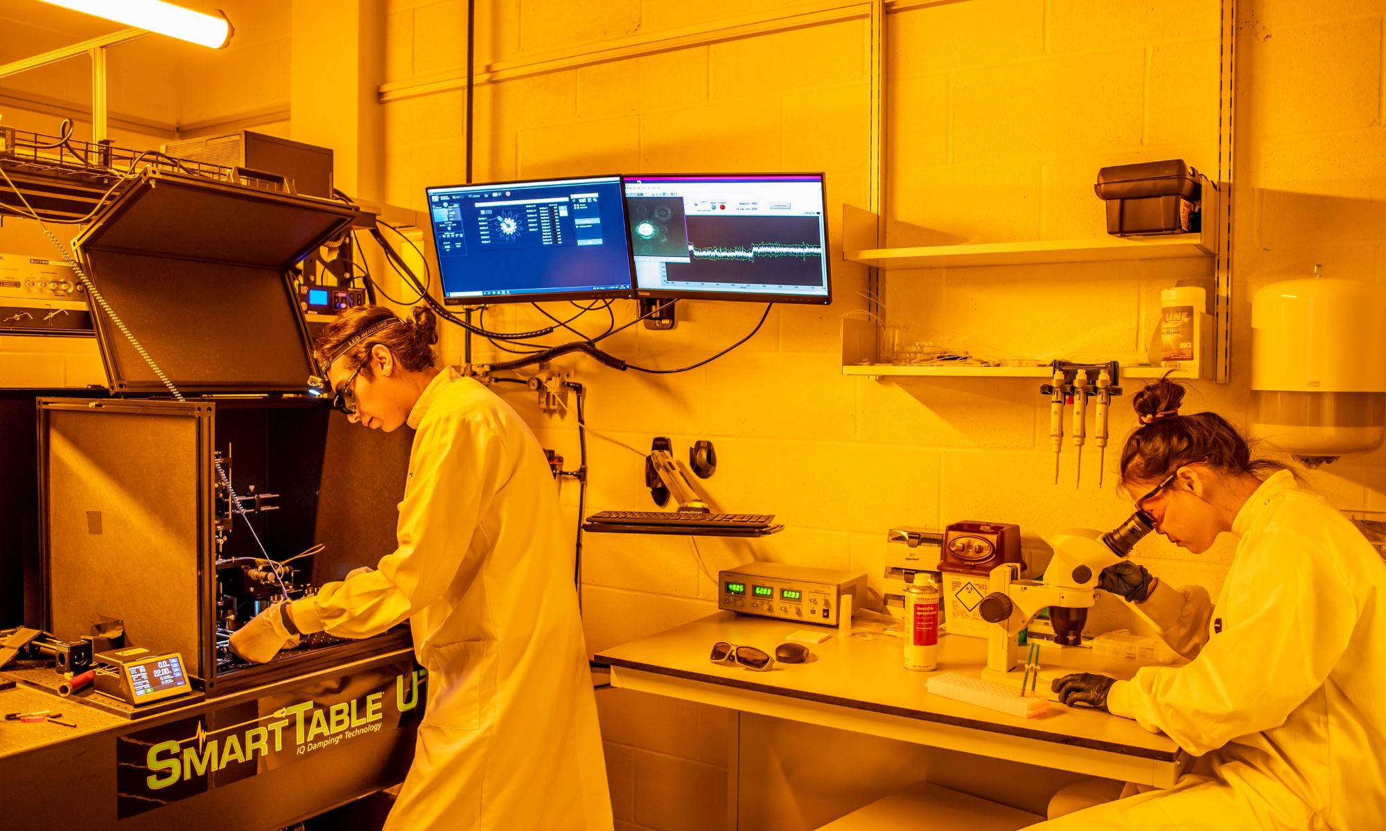 To have and to hold: NTU scientists get to grips with protein ...