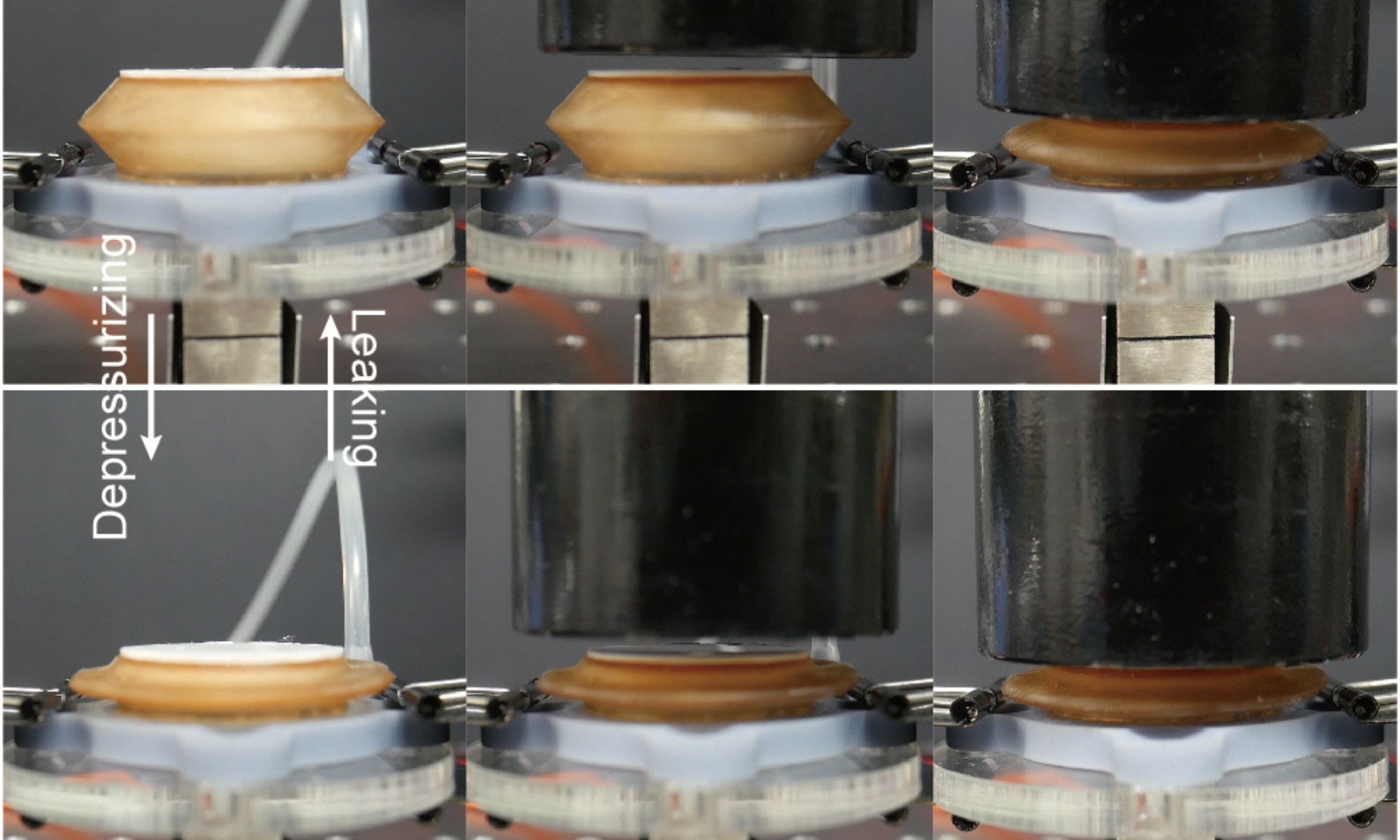 Sponge enables robot to crack the egg challenge | Laboratory News