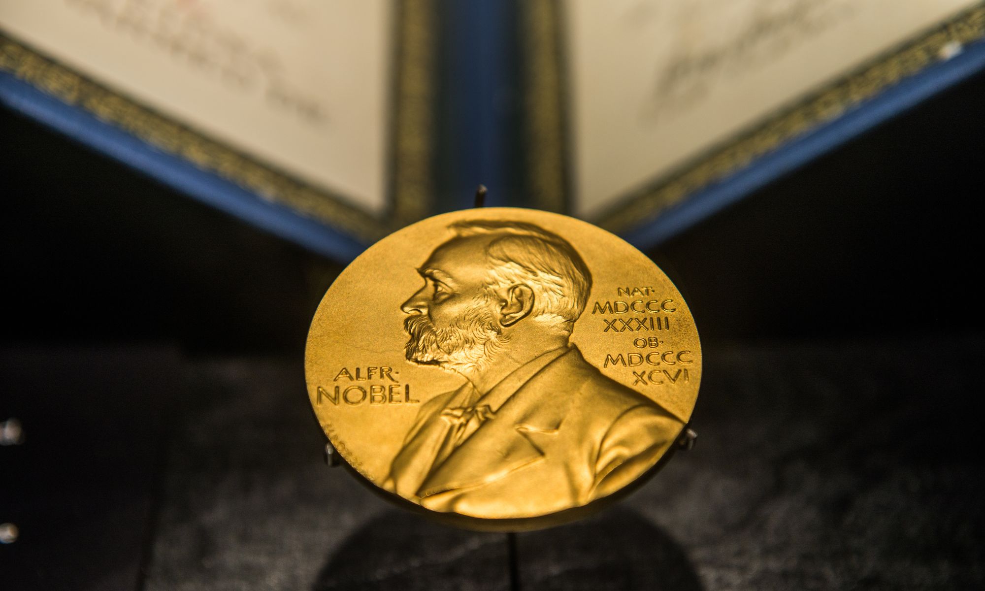 AI, genes and proteins dominate Nobel 2024 prizes | Laboratory News