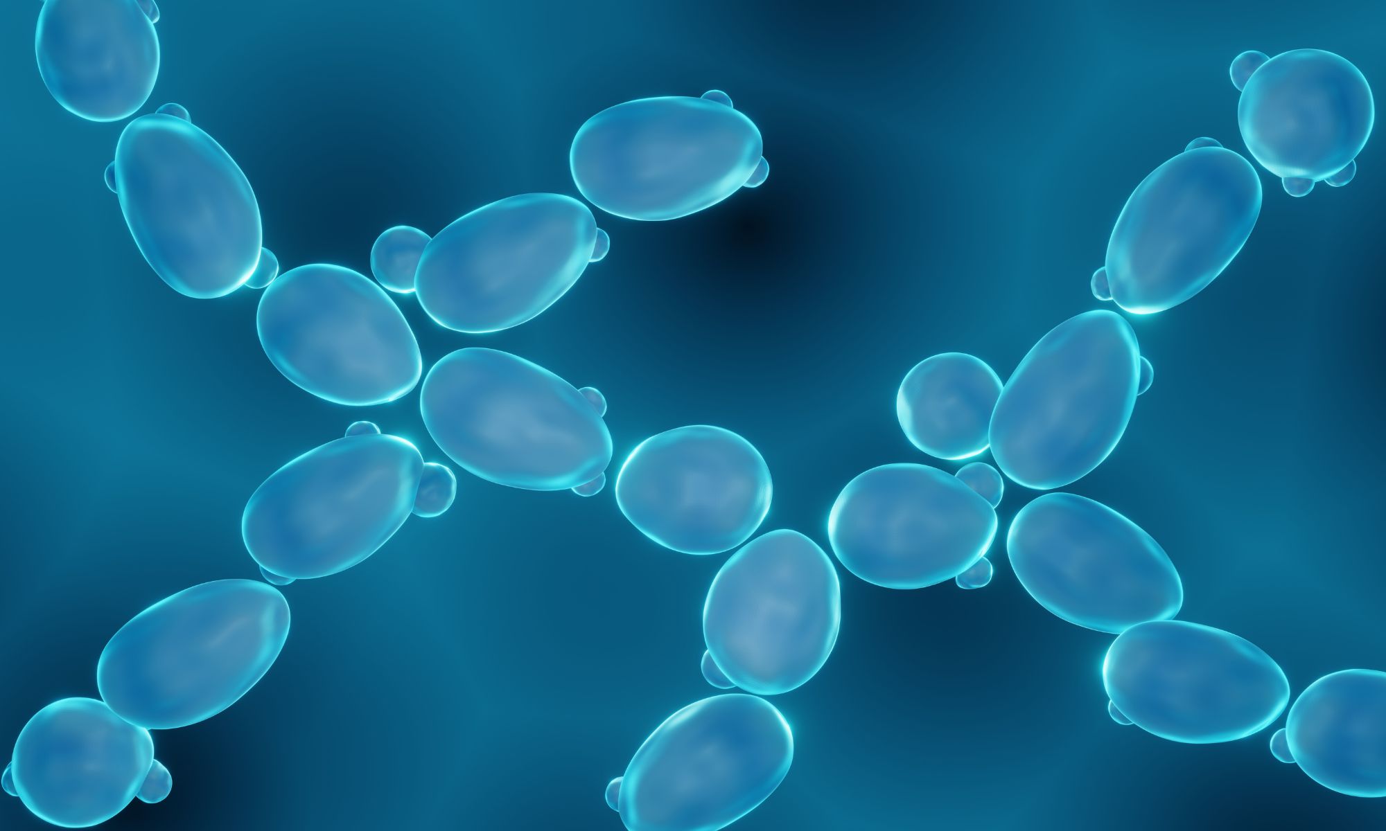 Research gives new meaning to a slug of wine | Laboratory News